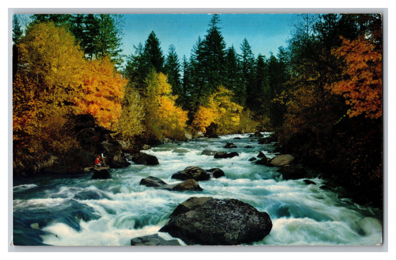Postcard OR Mckenzie River Oregon Fall Follage Vintage Standard View ...