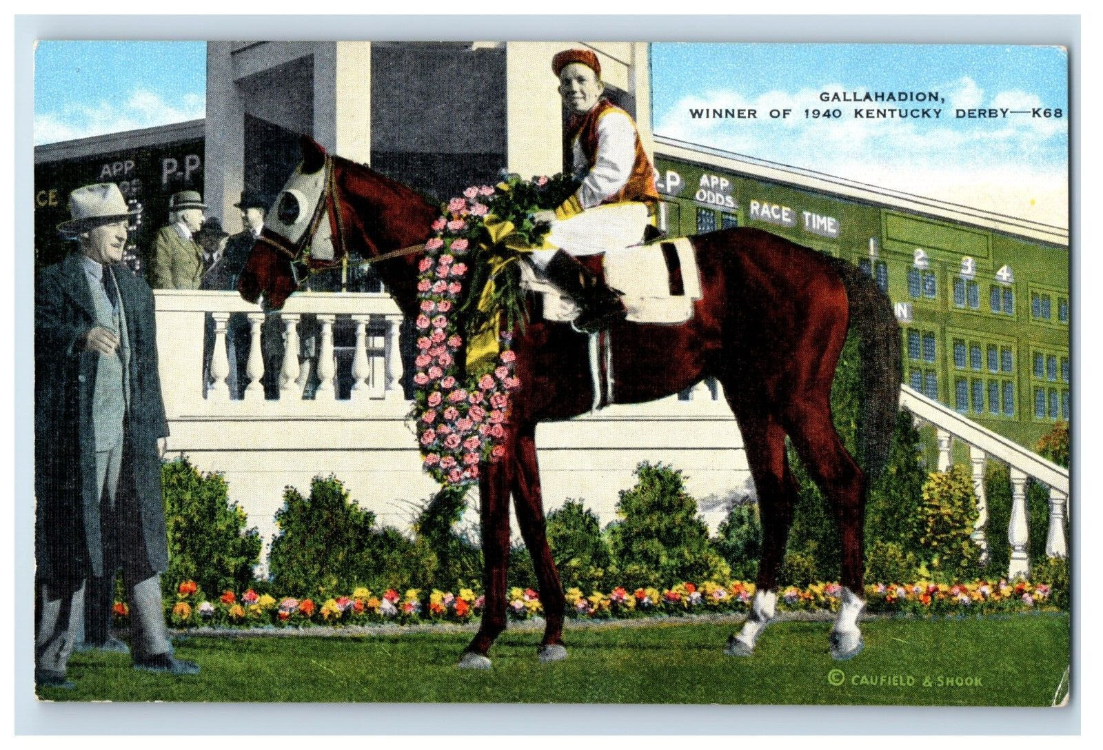 Vintage Gallahadion Winner Of 1940 Kentucky Derby Postcard F126E ...