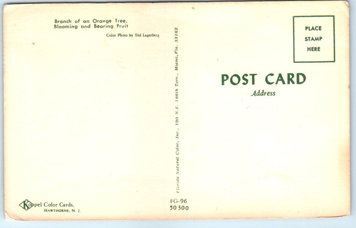 Postcard - Branch of an Orange Tree - Blooming and Bearing Fruit ...