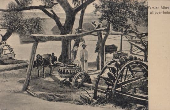 Persian Wheel All Over Indus Cattle at Work Bridge Karachi Pakistan ...