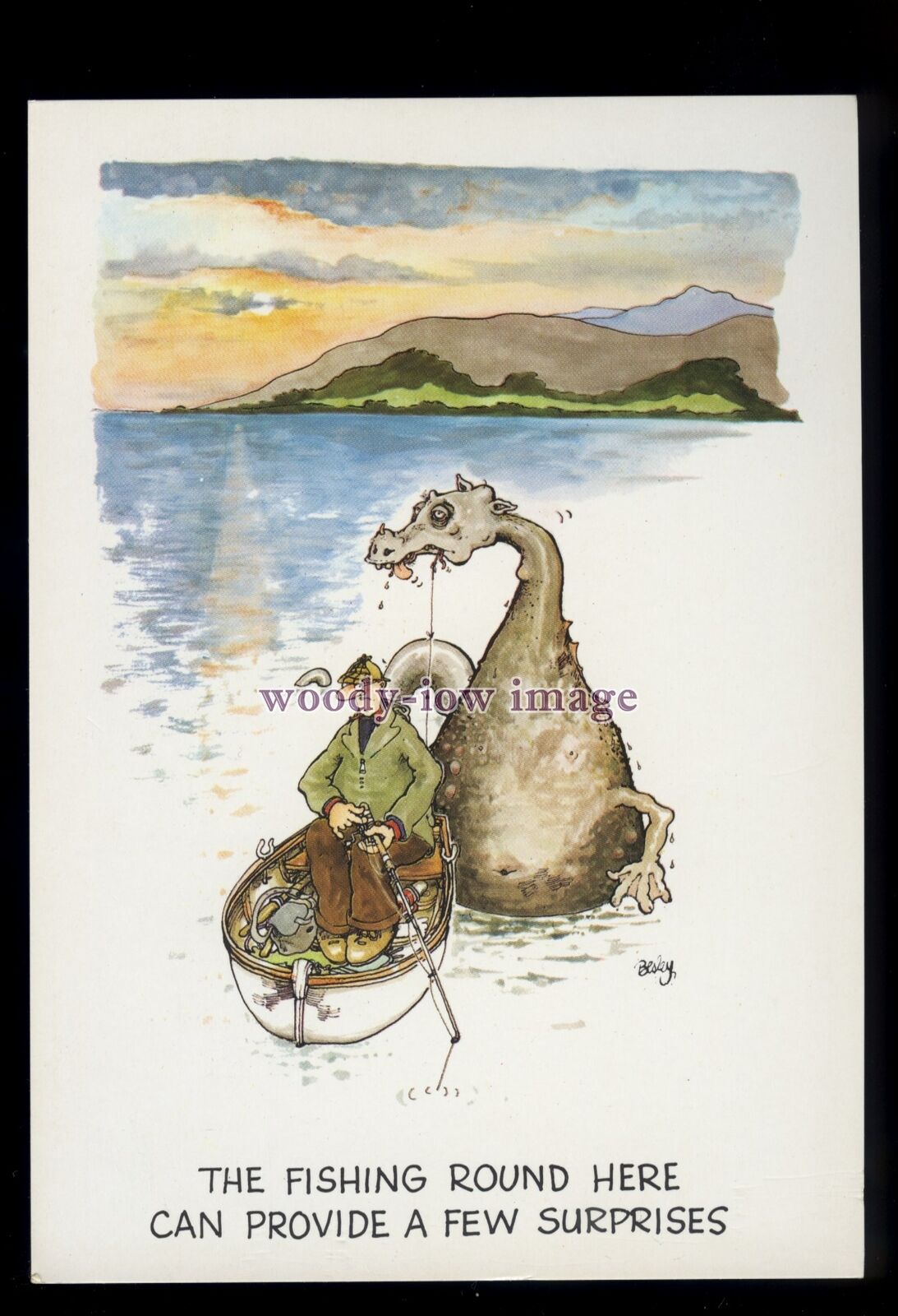 BES013 - Fishing round here can provide Surprises - comic postcard by ...