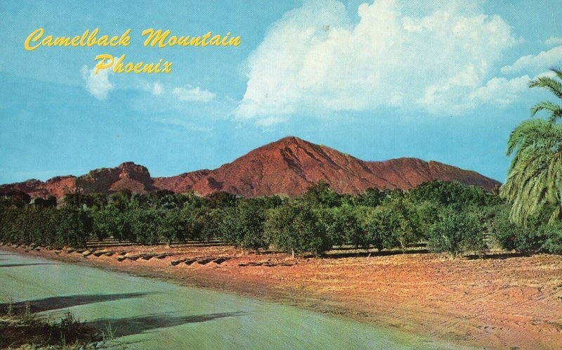 Vintage Postcard Famous Camelback World-Renowned Mountain Phoenix ...