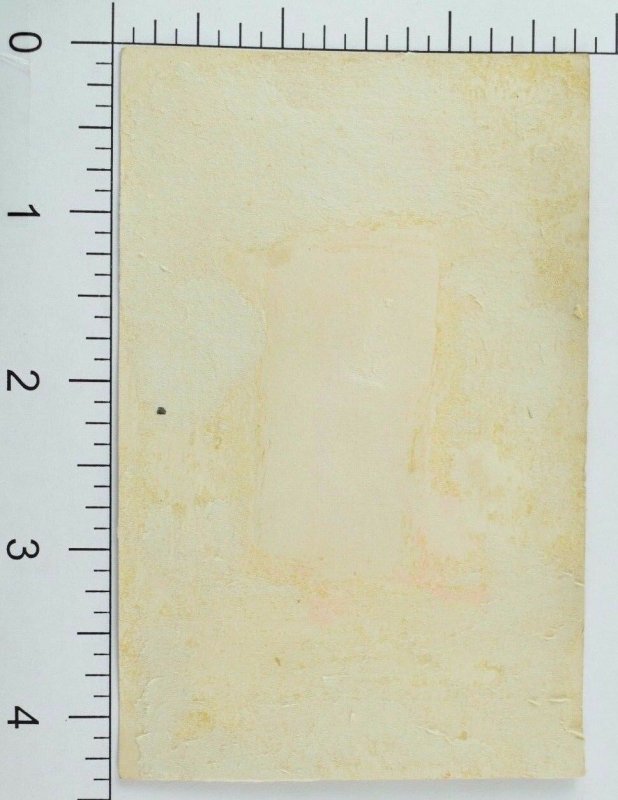 1880's Daniel A. Paige Dealer In Pig'a Feet Tripe Dressed Hogs Boy Big ...