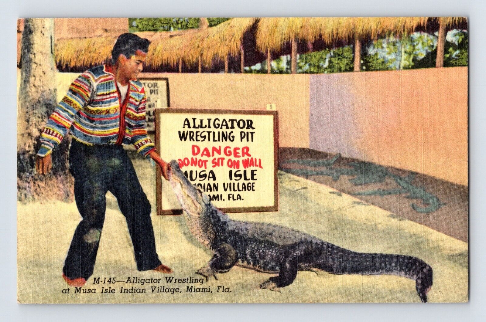 Postcard Florida Miami FL Musa Isle Gator Wrestling Native American ...