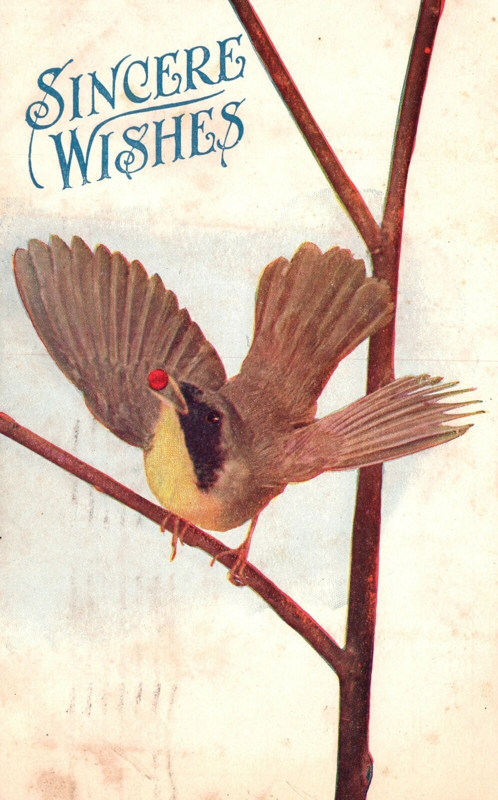 Vintage Postcard 1909 Sincere Wishes Bird On Tree Twig Wish Card ...