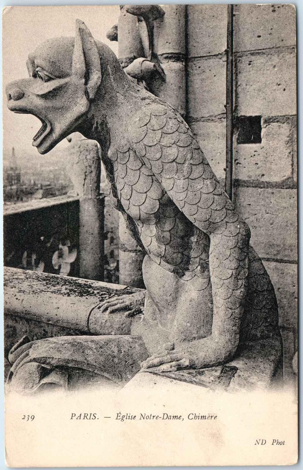 1900s Paris France Notre-Dame Cathedral Chimera Gargoyle Gothic Evil ...