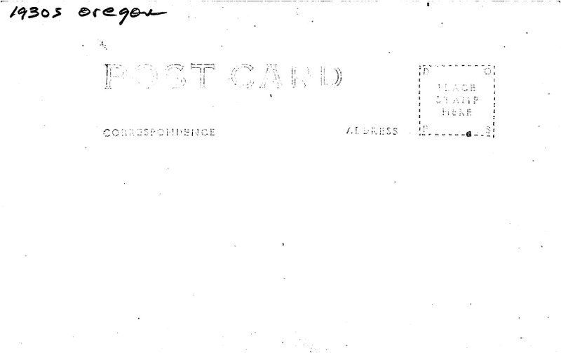 1930s Salmon Jumping Fishway Willamette Falls Eody RPPC Real photo ...