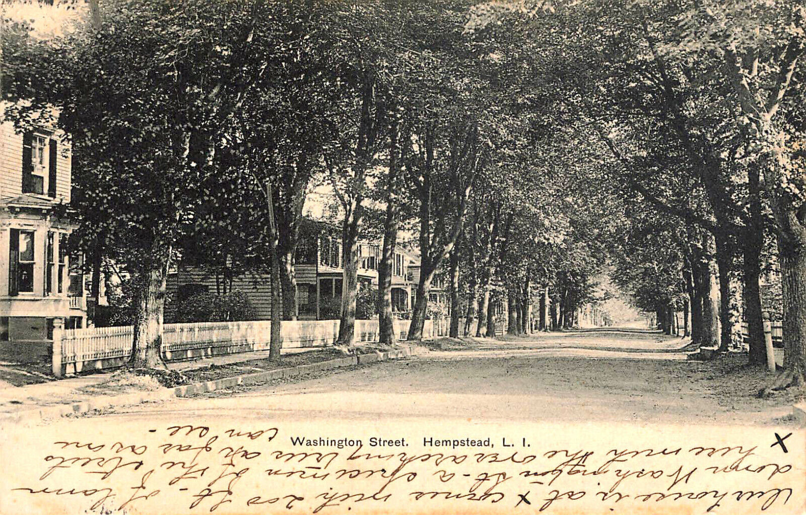 Hempstead Long Island NY Tree Lined Street in 1908. Postcard | United ...