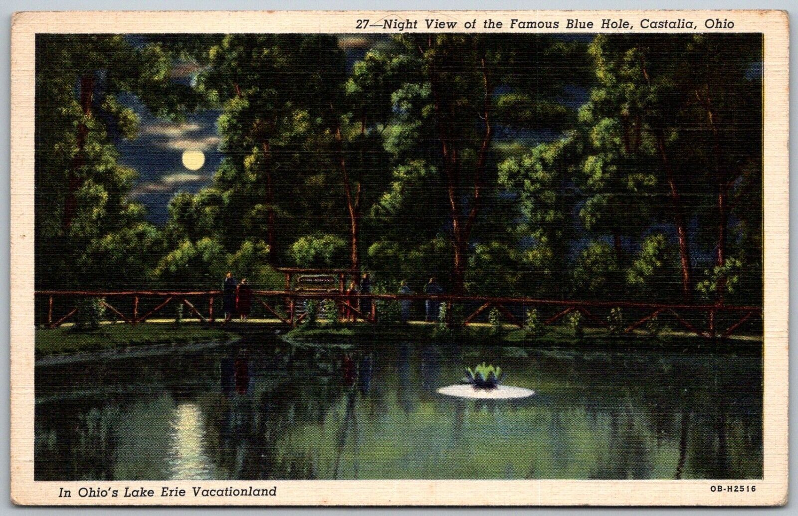 Castalia Ohio 1940s Postcard Night View Of Famous Blue Hole Lake Erie ...