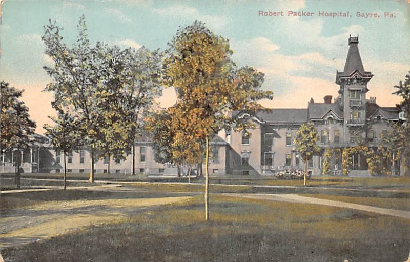 Robert Packer Hospital Sayre, Pennsylvania PA | United States ...