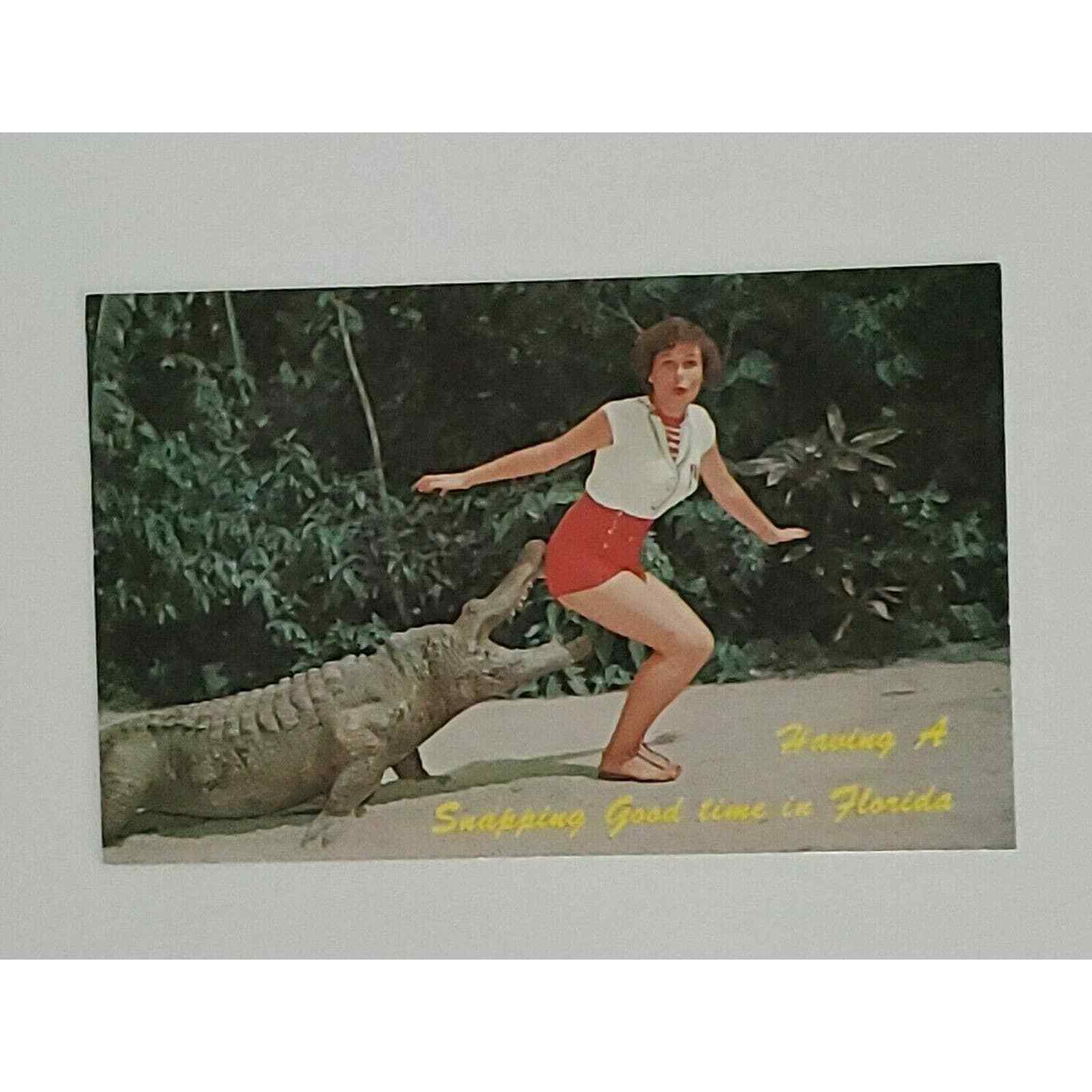 Alligator Biting Butt Having Snapping Good Time Funny Humor Florida ...