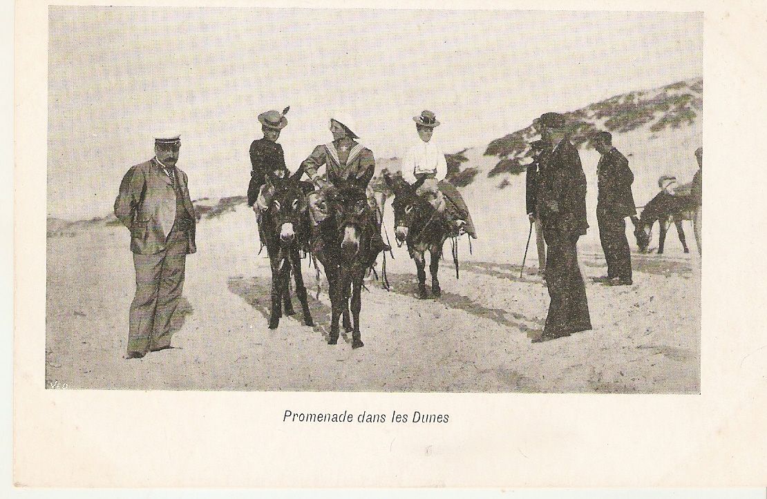 "Don keys. Promenade dans les Dune" Old vintage French photo postcard ...