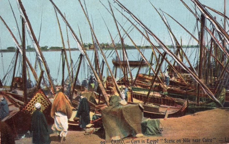 Cairo Corn In Egypt Old Postcard | Africa - Egypt, Postcard / HipPostcard