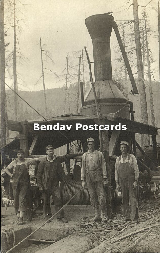 Disston, Oregon, Lumber Machinery, Logging Lumbering (1916) RPPC ...