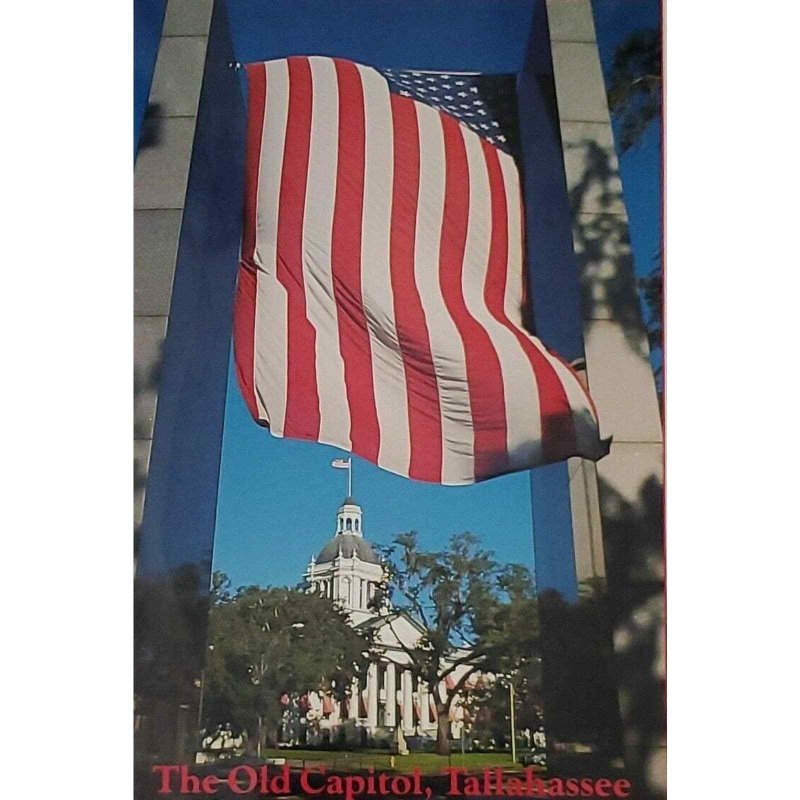 Vietnam Veterans Memorial Flag State Capitol Tallahassee FL Postcard ...