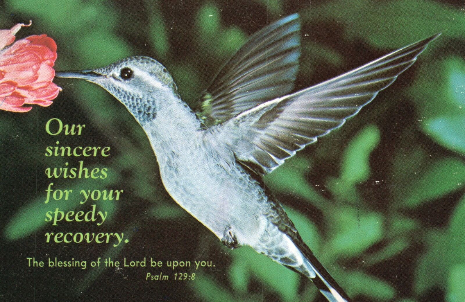 Vintage Postcard The Blessing of the Lord Be Upon You Psalm 129:8 ...