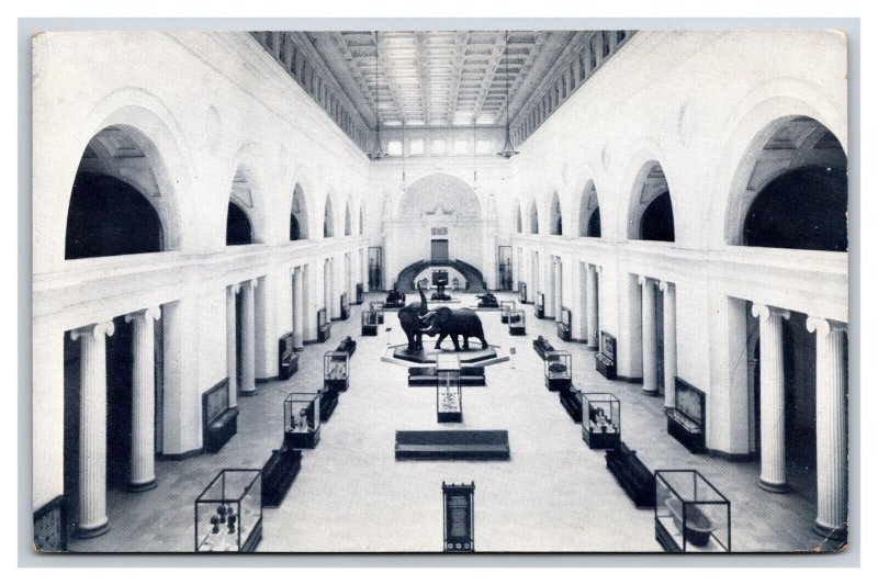 Stanley Field Hall at Field Museum Chicago Illinois IL UNP DB Postcard ...