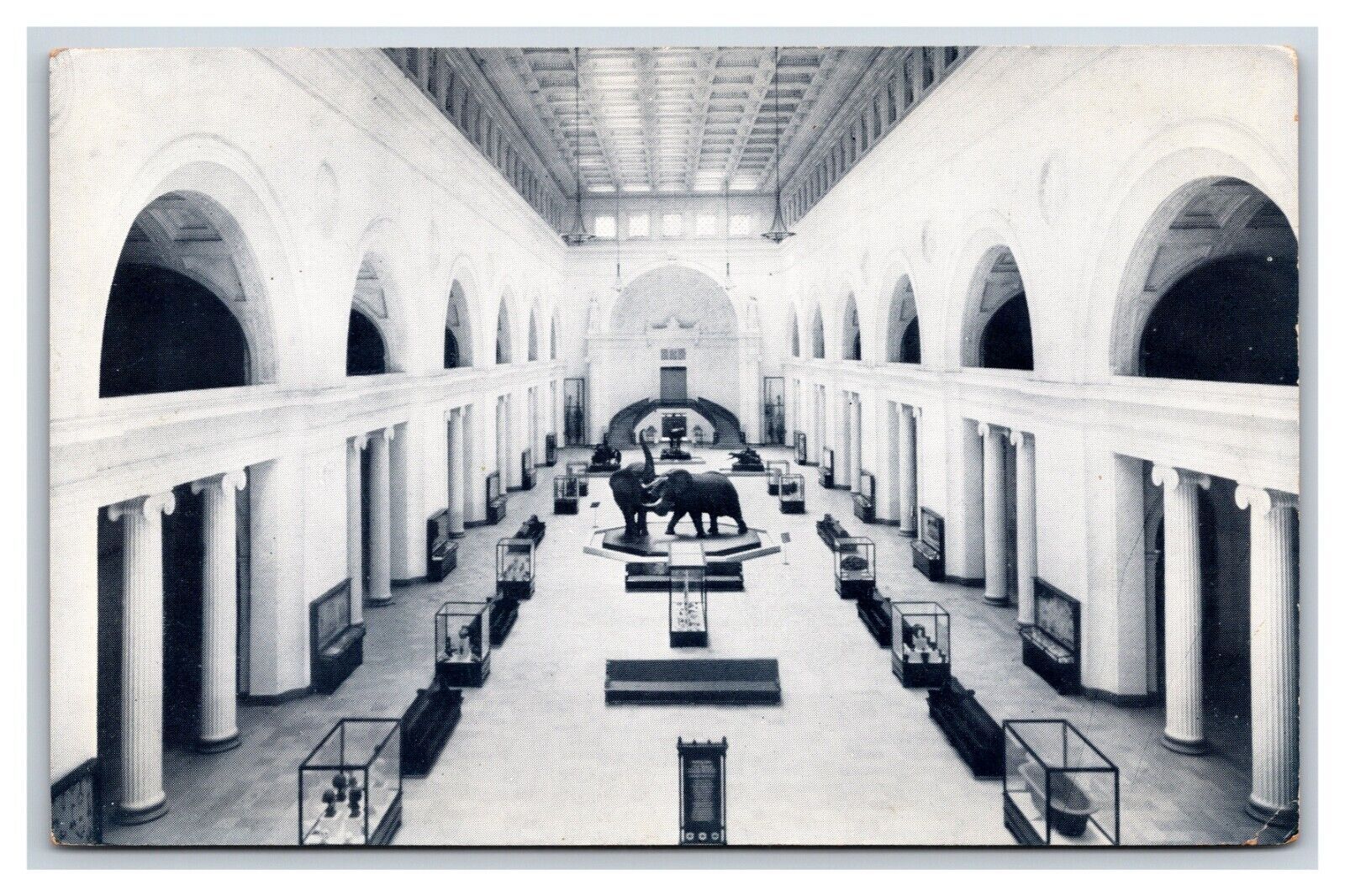 Stanley Field Hall at Field Museum Chicago Illinois IL UNP DB Postcard ...