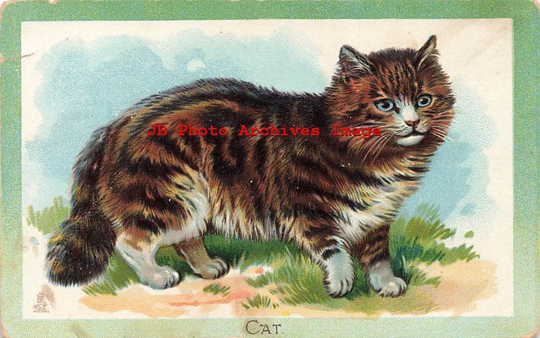 8 Postcards Set, Tuck No 4, Domestic Animals, Cow-Sheep-Dog-Horse-Cat ...