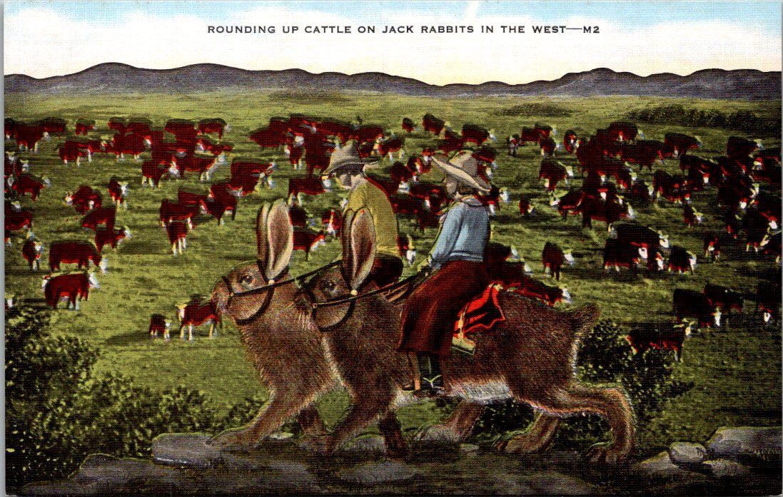 Humour Exageration Rounding Up Cattle On Giant Jack Rabbits | Topics ...