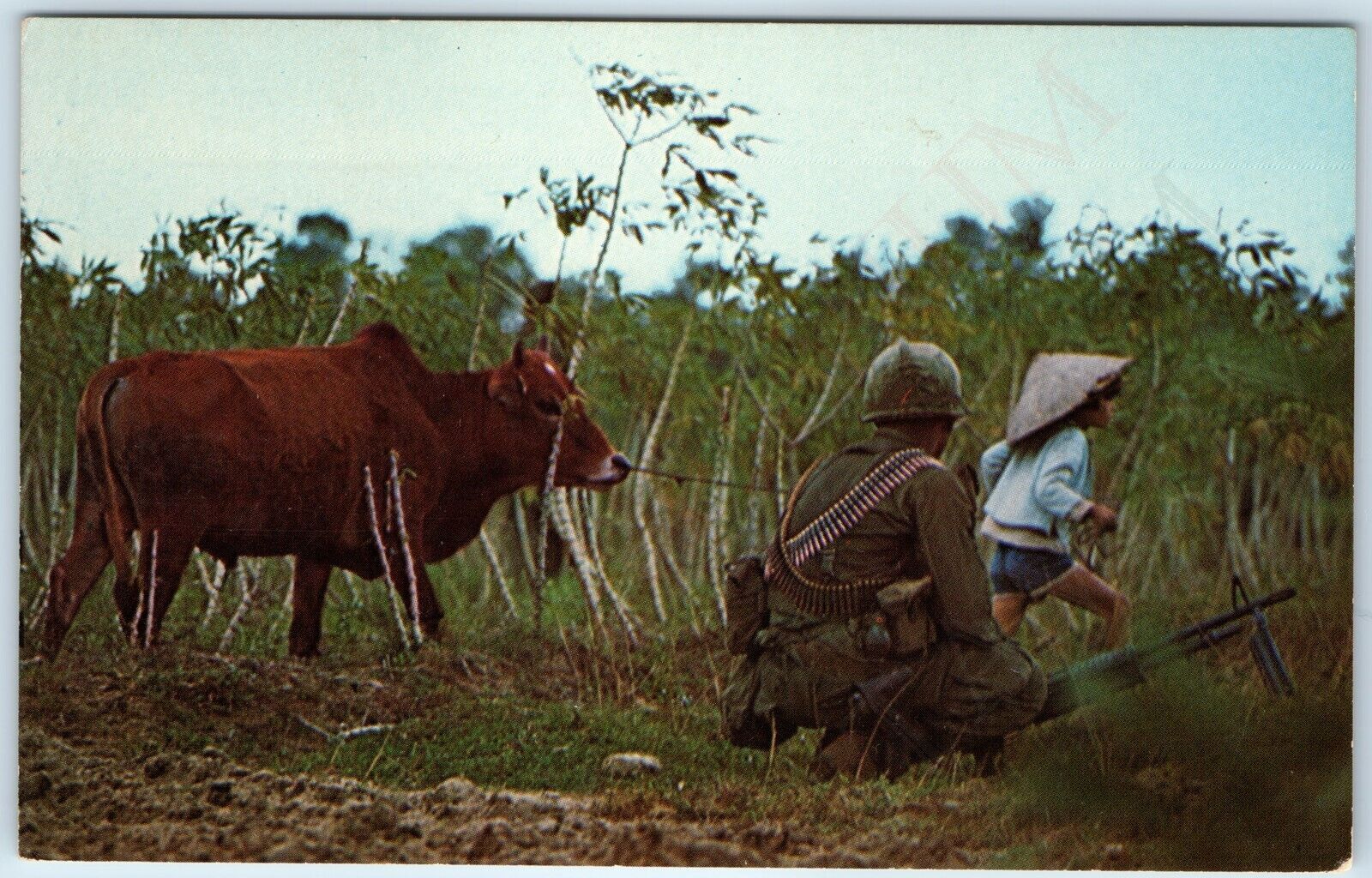 c1960s RARE Vietnam War Chrome Photo PC Army Soldier Girl Cow, Life ...