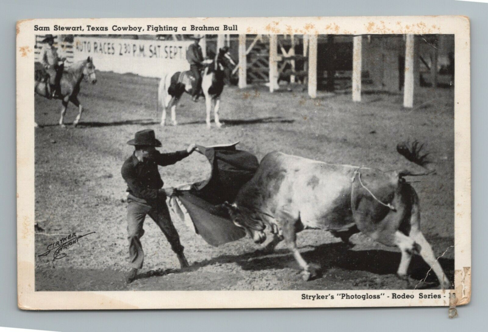 Sam Stewart Texas Cowboy Fighting Brahma Bull Rodeo Postcard | United ...