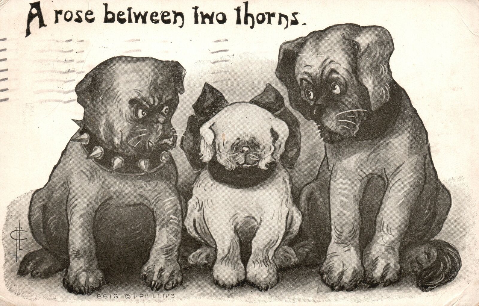 Vintage Postcard 1910's A Rose Between Two Thorns Angry Dogs With Sharp ...