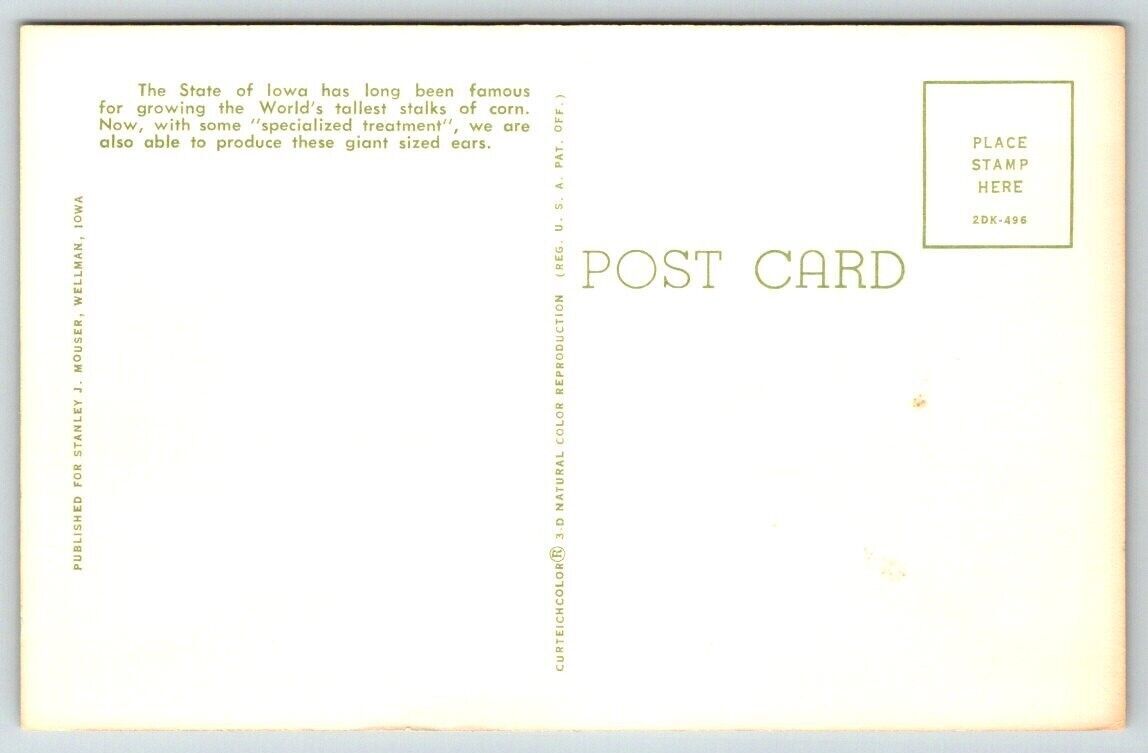Iowa Corn Capital of the World Exaggerated Postcard | United States ...