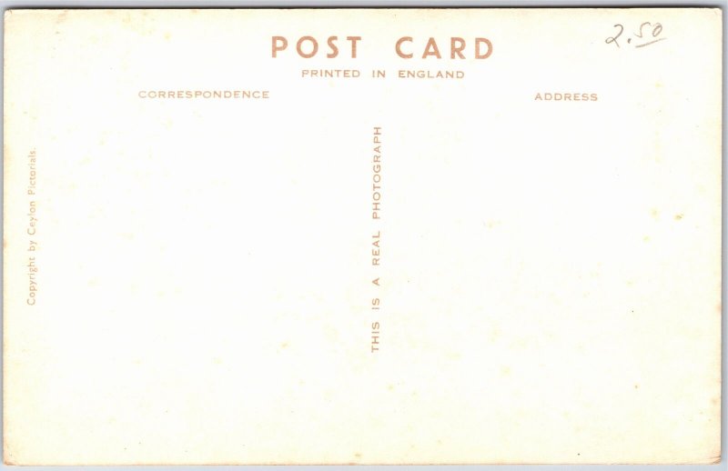 Vintage Postcard Hand-Colored Real Photo Pictorial MAP of Ceylon C ...