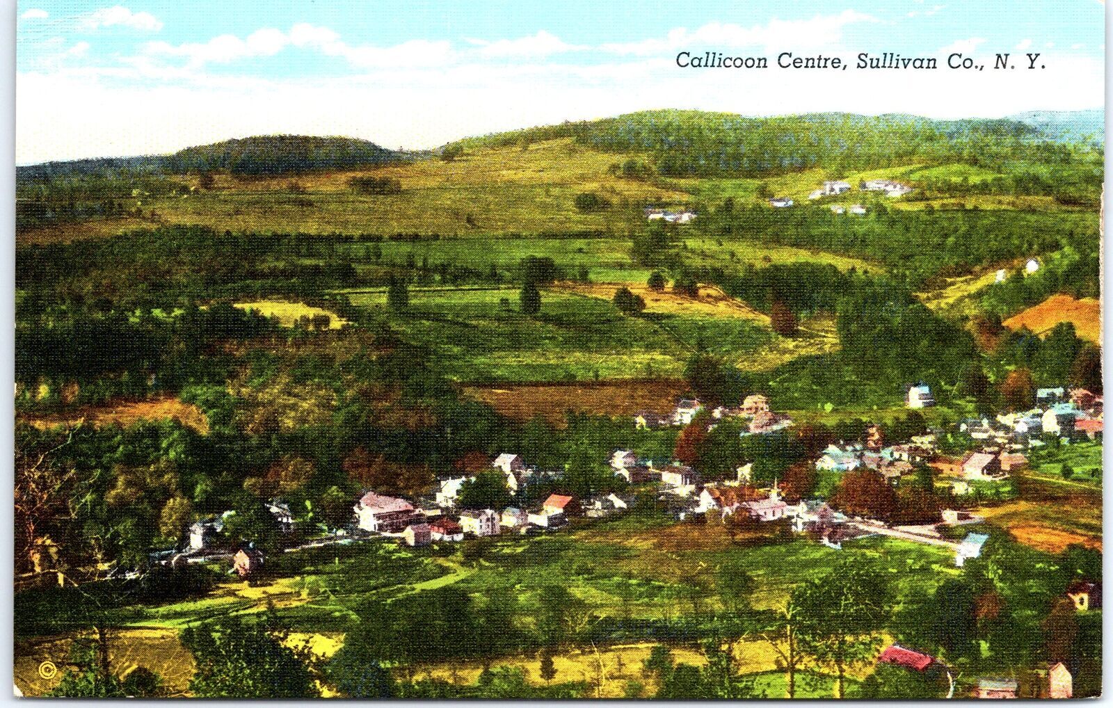 Vintage Postcard Aerial View of Callicoon Centre at Sullivan County N.Y ...