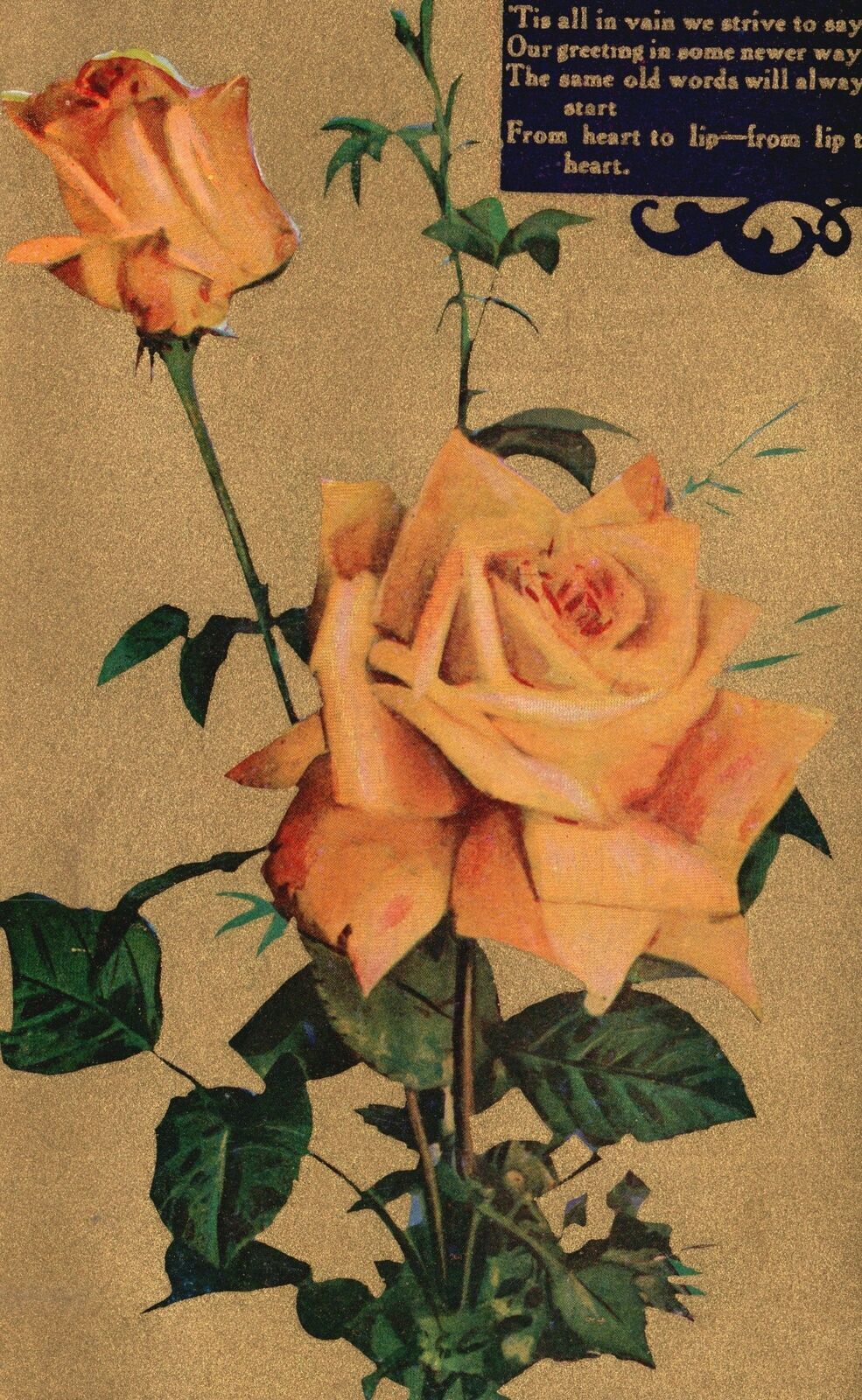 Vintage Postcard 1910's Flowers T'is All In Vain We Strive To Say Our ...