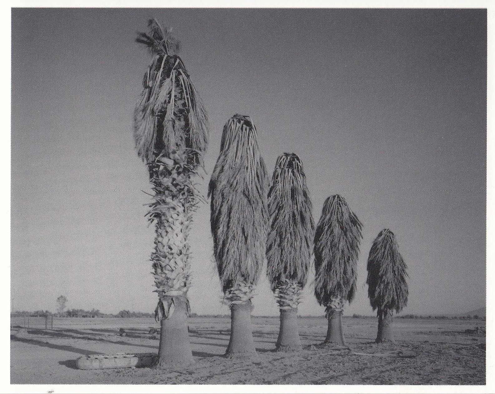 Trees Of Haircuts Giant Tribal Hair Fashions Unique Photo Postcard ...