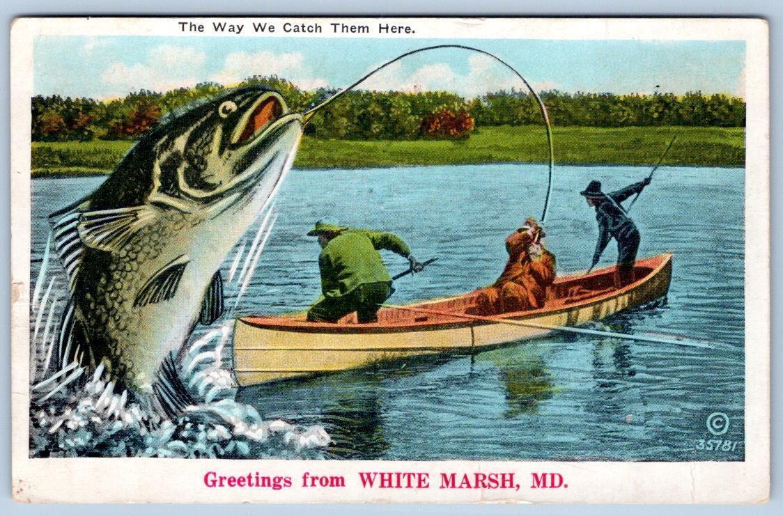 1934 Greetings From White Marsh MD Exaggerated Fish the WAY WE Catch ...