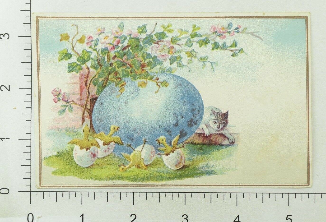 1880's Lovely Easter Egg Baby Birds Hatching Cat Victorian Trade Card ...