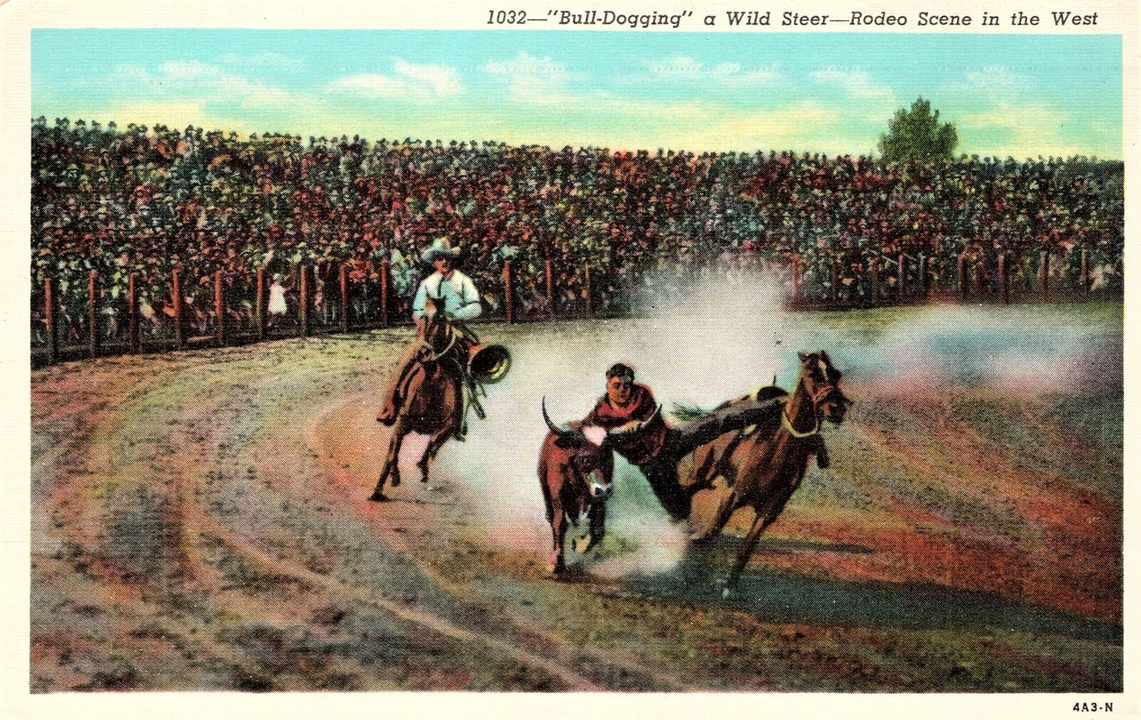 Vintage Postcard Bull-Dogging a Wild Steer Rodeo Scene in the West ...