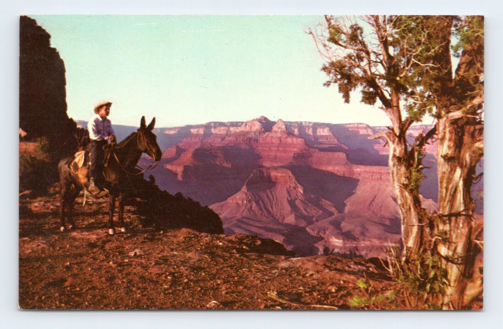 Cowboy On Horse O'Neill Butte Grand Canyon AZ UNP Fred Harvey Chrome ...