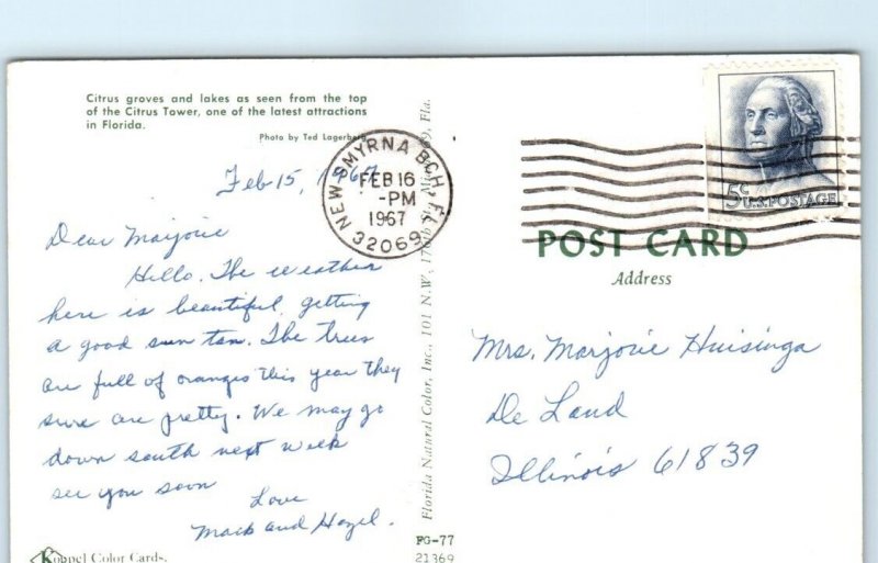 Postcard - Citrus groves and lakes as seen from the top of the Citrus ...