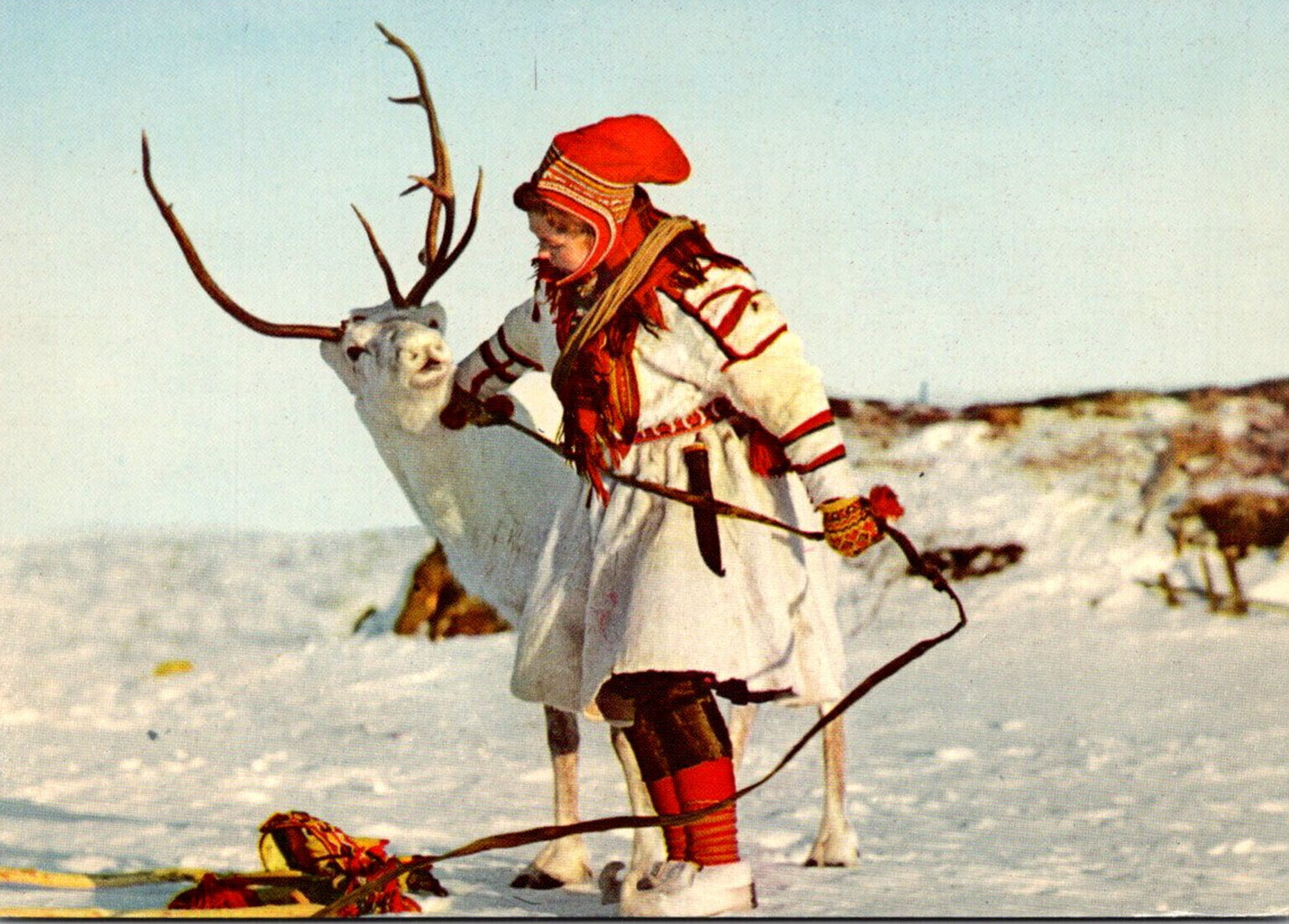 Norway A Lapp Girl and Reindeer | Europe - Norway, Postcard / HipPostcard