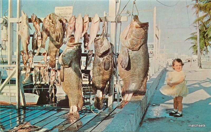 1960s Key West Florida Giant Jewfish catch charter Boat Docks postcard ...
