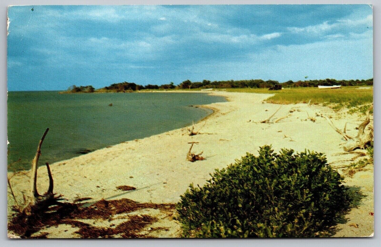Teachs Hole Blackbeard Cape Hatteras National Seashore Recreational VNG ...