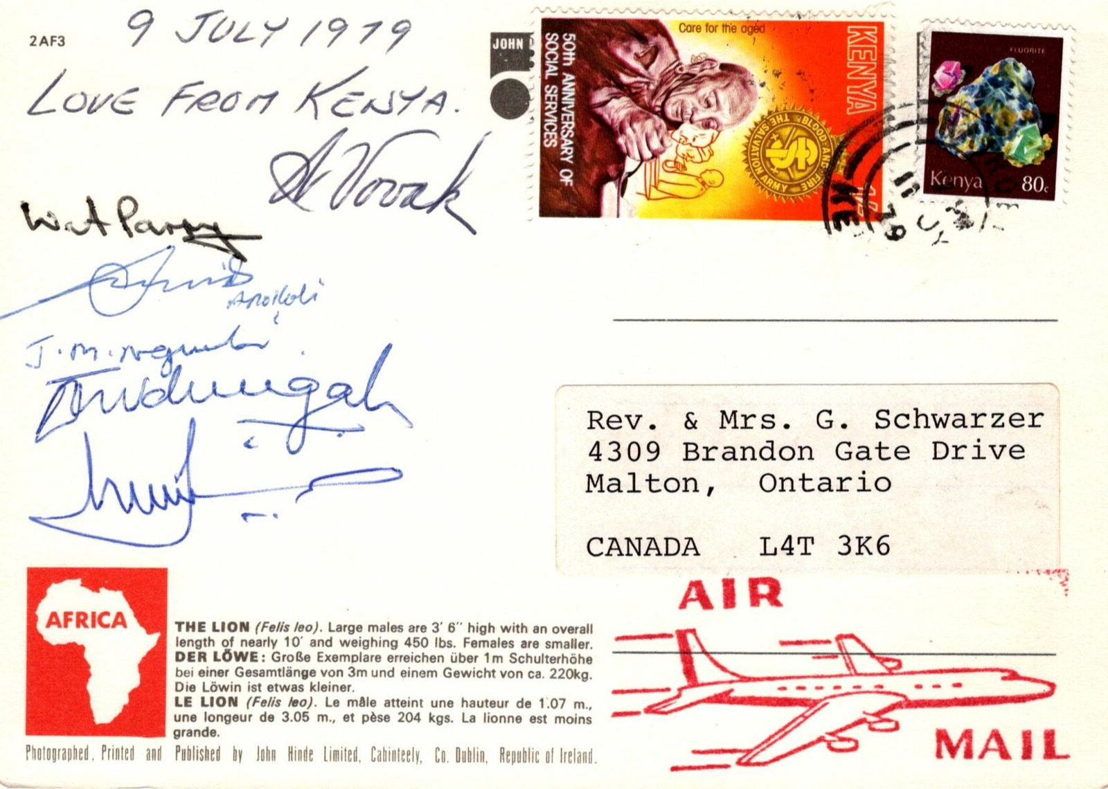 Vintage Continental Size Postcard Lion and Lioness Kenya Mailed 1979 ...