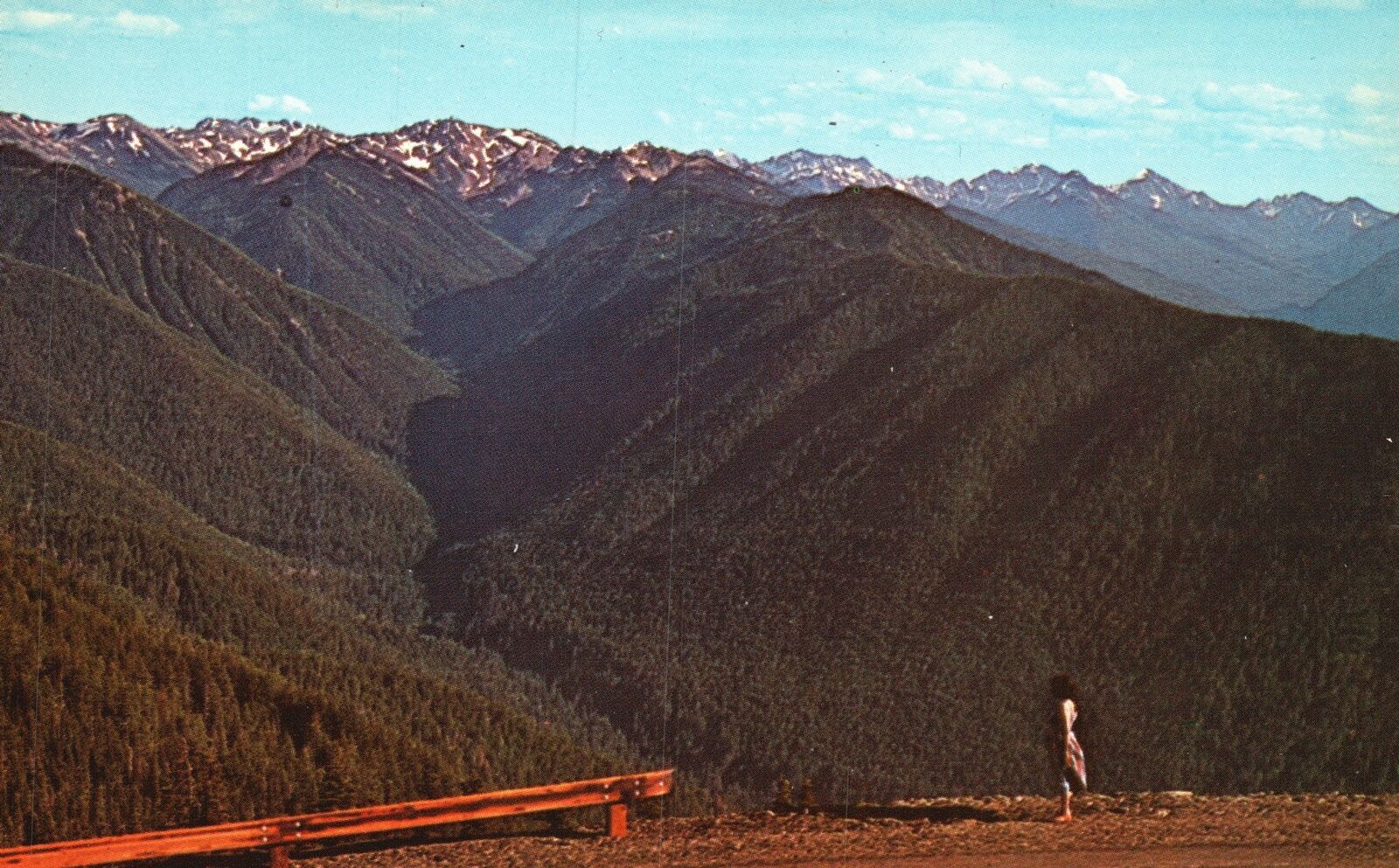 Vintage Postcard View of Hurricane Ridge Highway Olympic Mountains ...