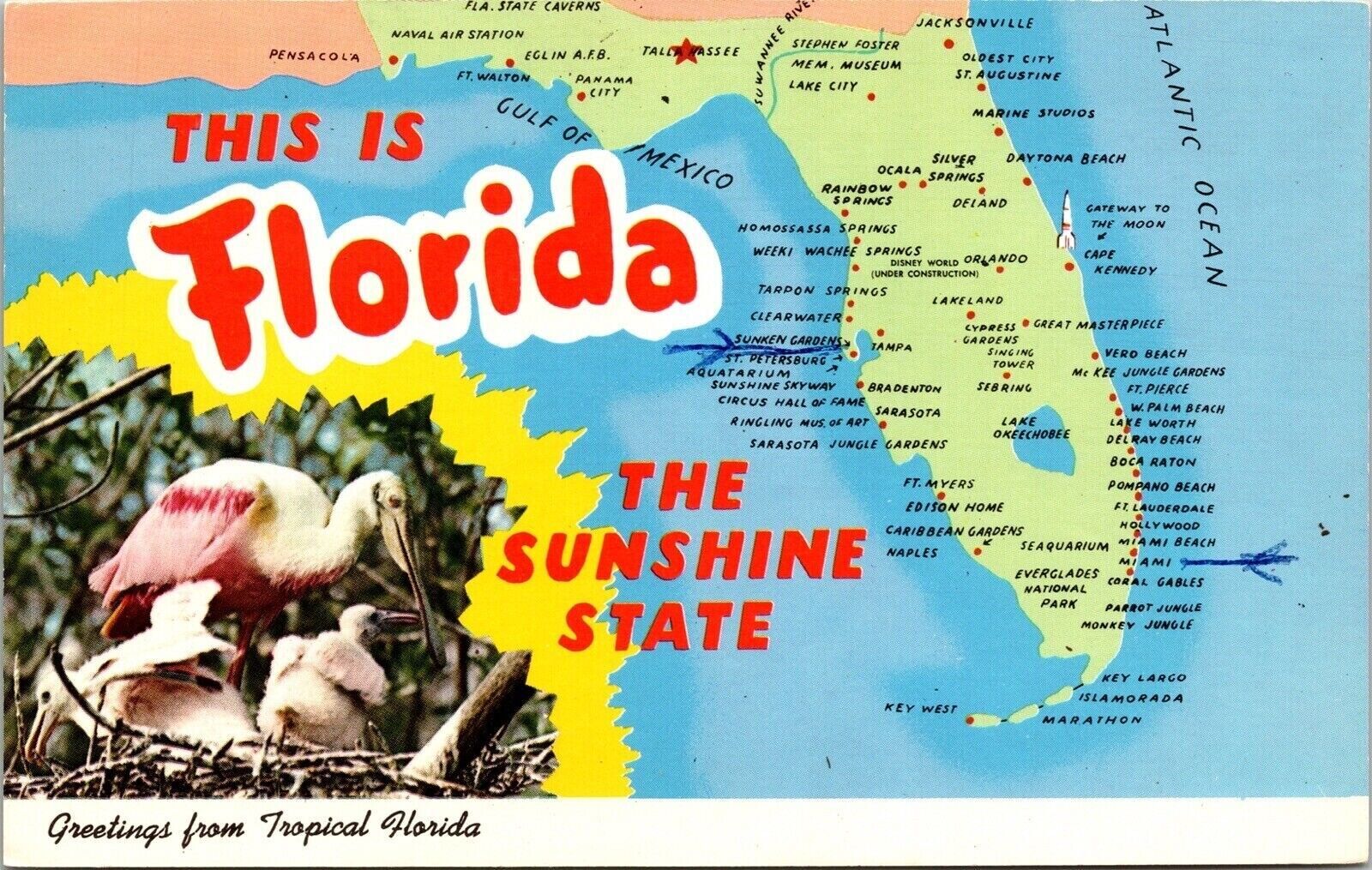 Greetings Tropical Florida Sunshine State Map Cities Chrome WOB ...