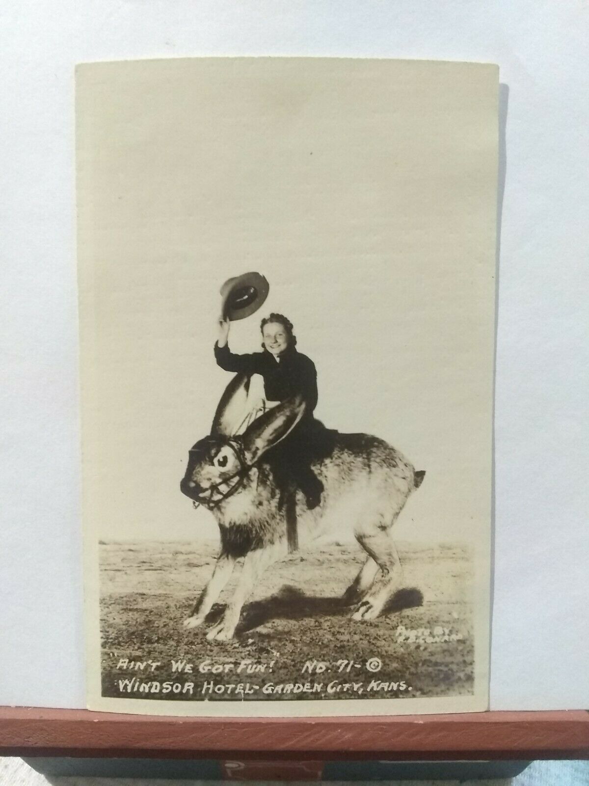 Vintage RPPC, woman riding rabbit Windsor hotel garden City Kansas ...