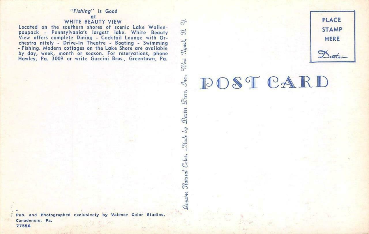 Fishing WHITE BEAUTY VIEW Lake Wallenpaupack, PA c1950s Vintage ...