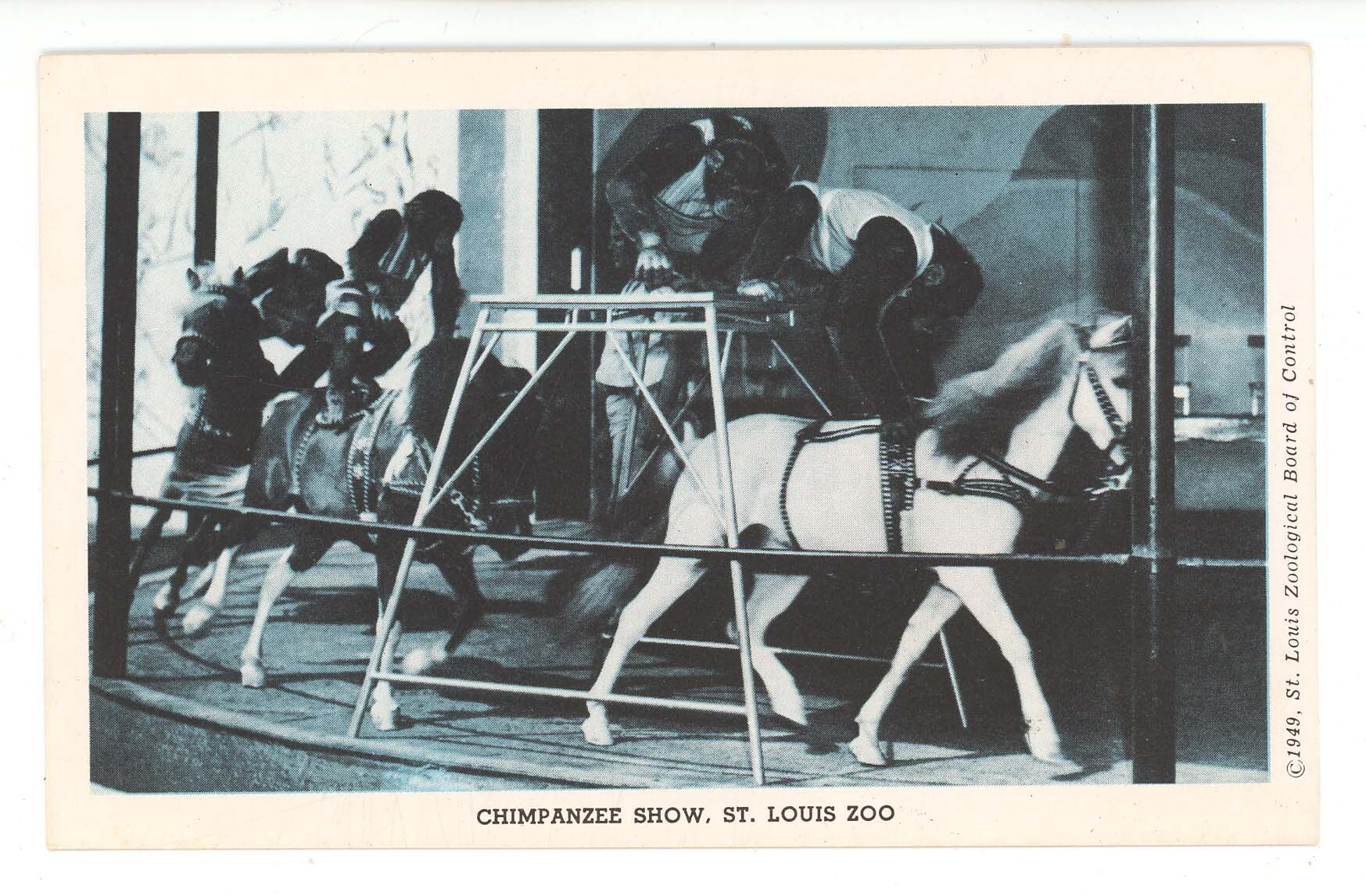 MO - St. Louis. St. Louis Zoo, Chimpanzee Show ca 1949 | United States ...
