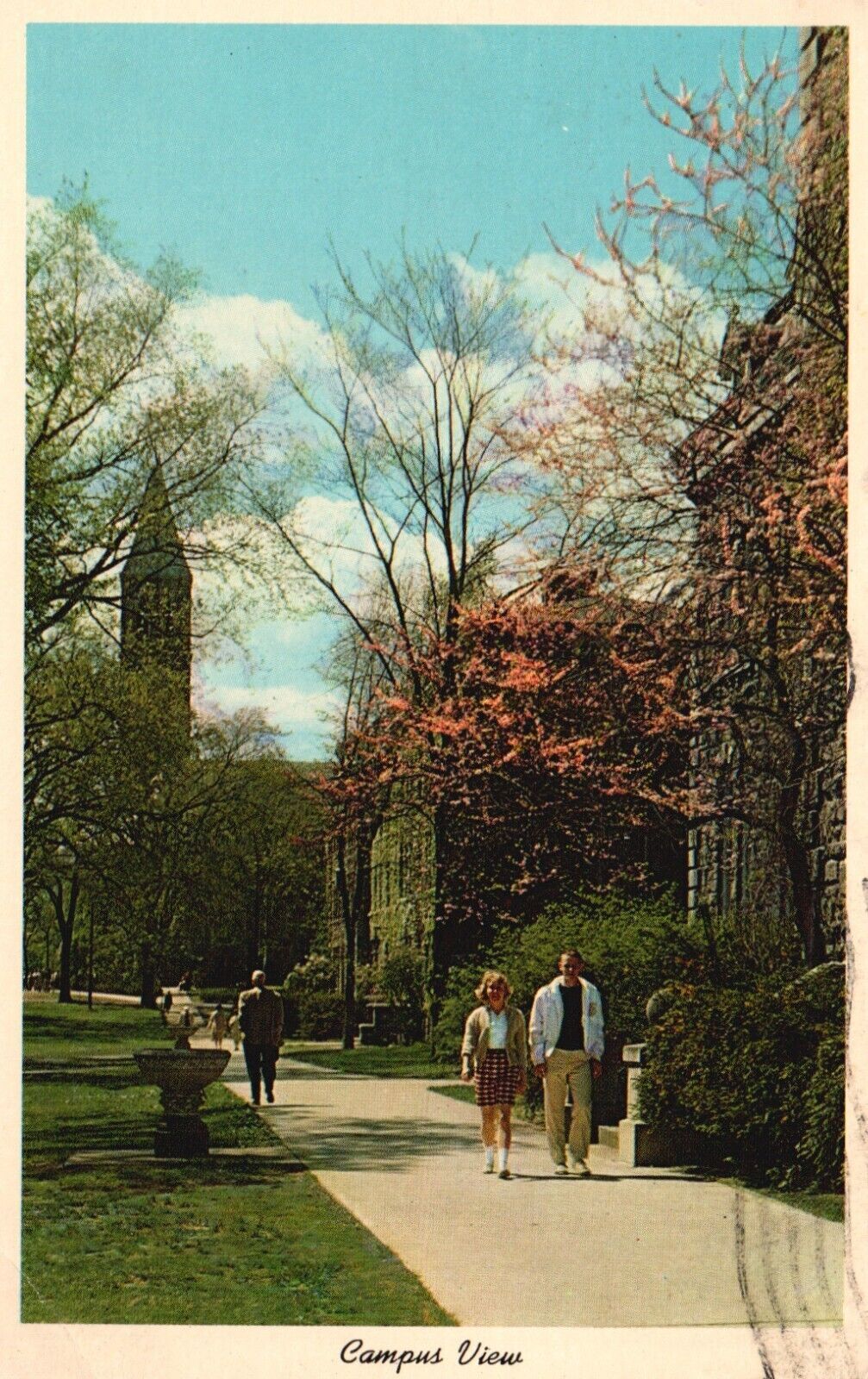 Postcard NY Ithaca Cornell University Campus View 1967 Chrome Vintage ...