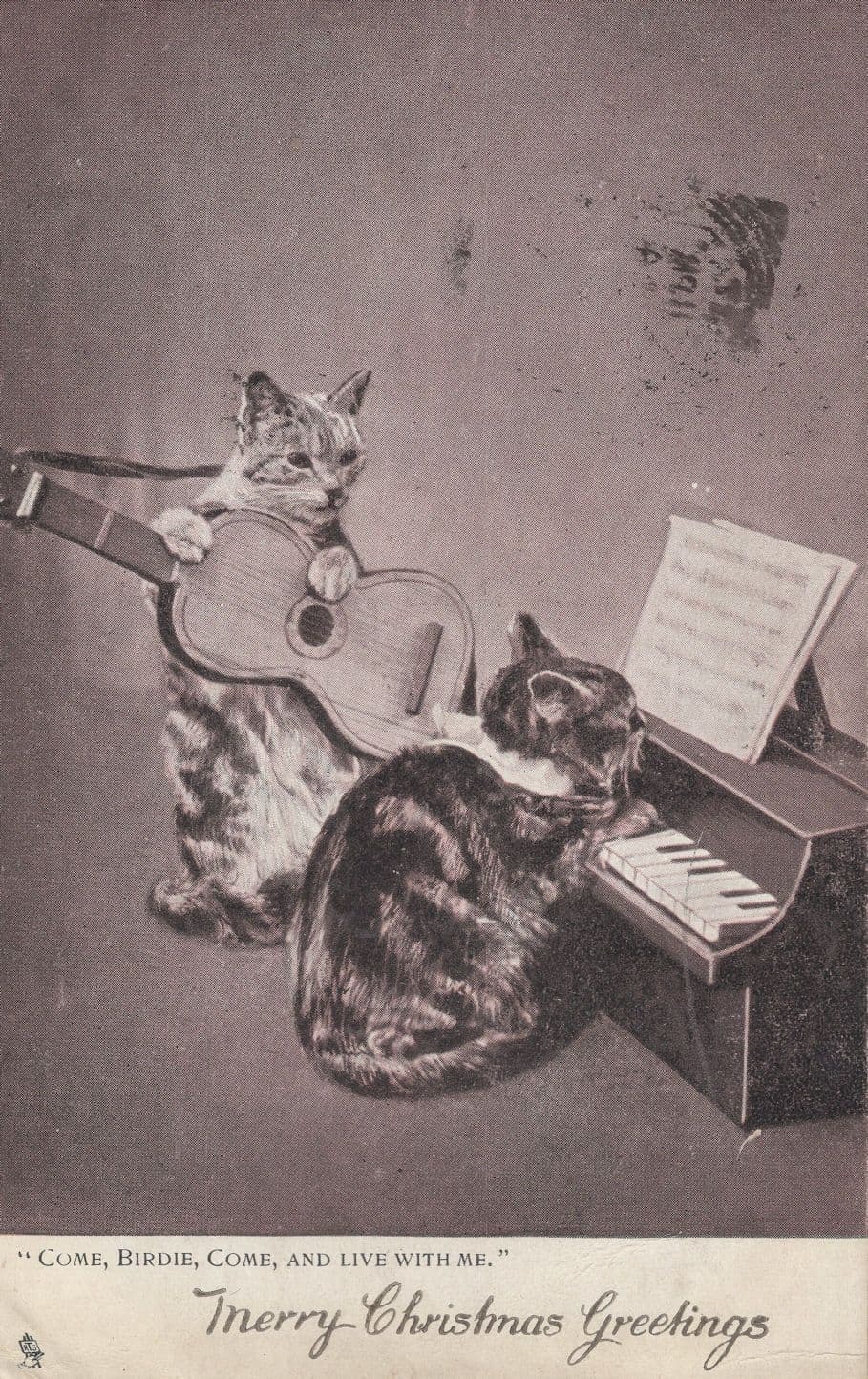 Cat Playing Piano Classical Guitar Music Cats Comic Greetings Postcard ...