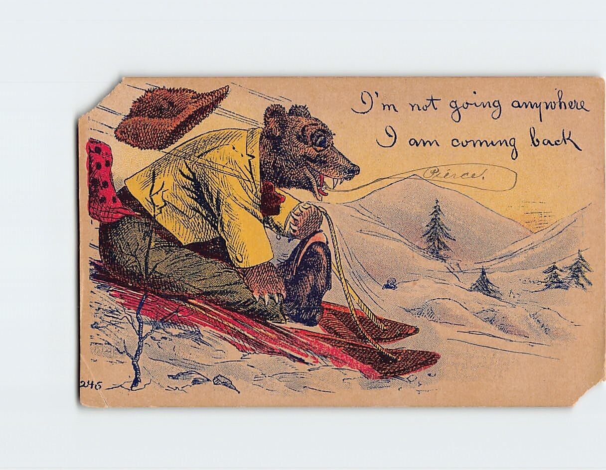 Postcard I'm not going anywhere, I am coming back with Bear Comic Art ...