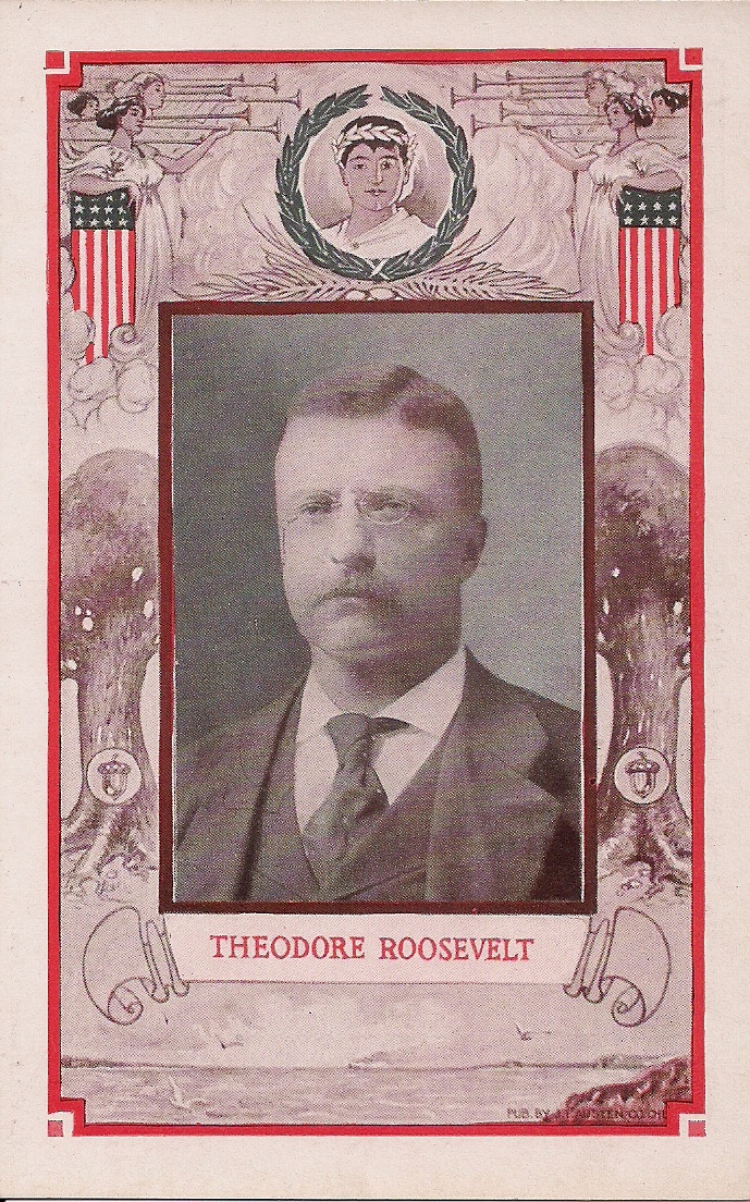 Teddy Roosevelt, President, Politics Biography, US History 1925 Fancy ...
